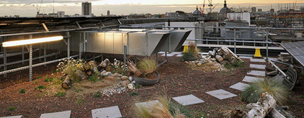 Biodiversity Net Gain & Living Roofs - ABG Geosynthetics