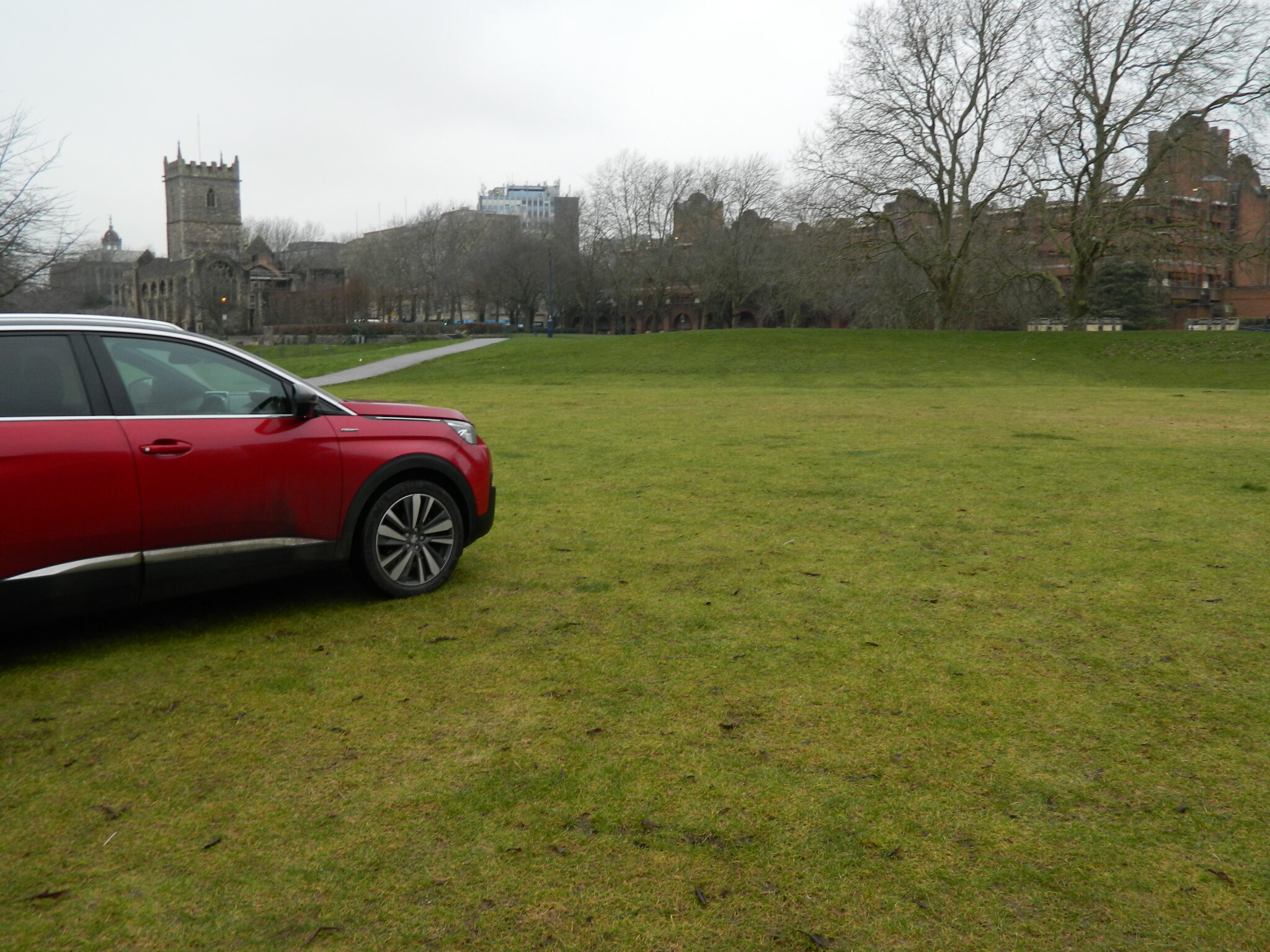 Turf Reinforcment | Advanced Turf Reinforced Grass