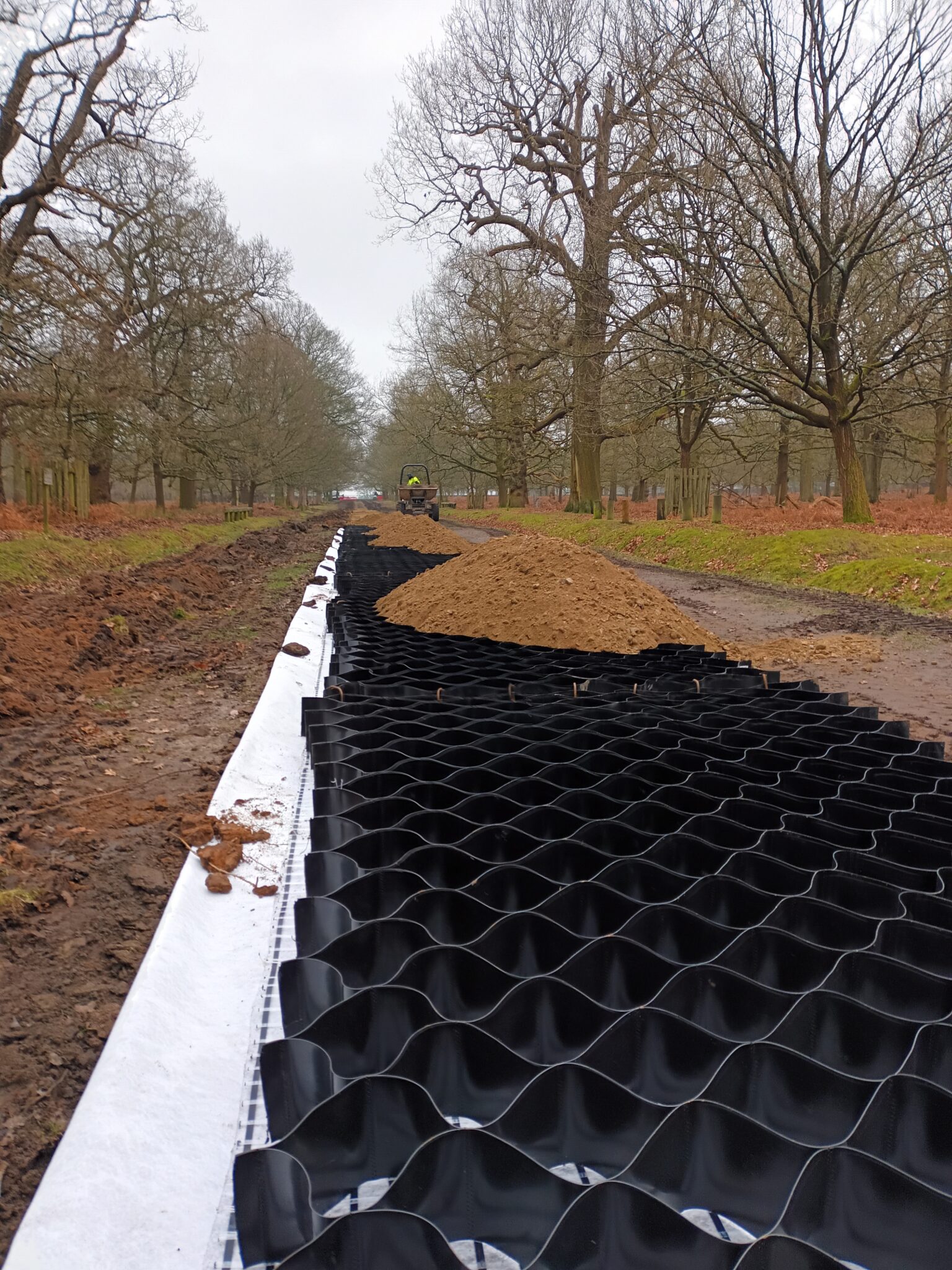 Abweb TRP | Tree Root Protection Geocell | Paths, Roads & Car Parks