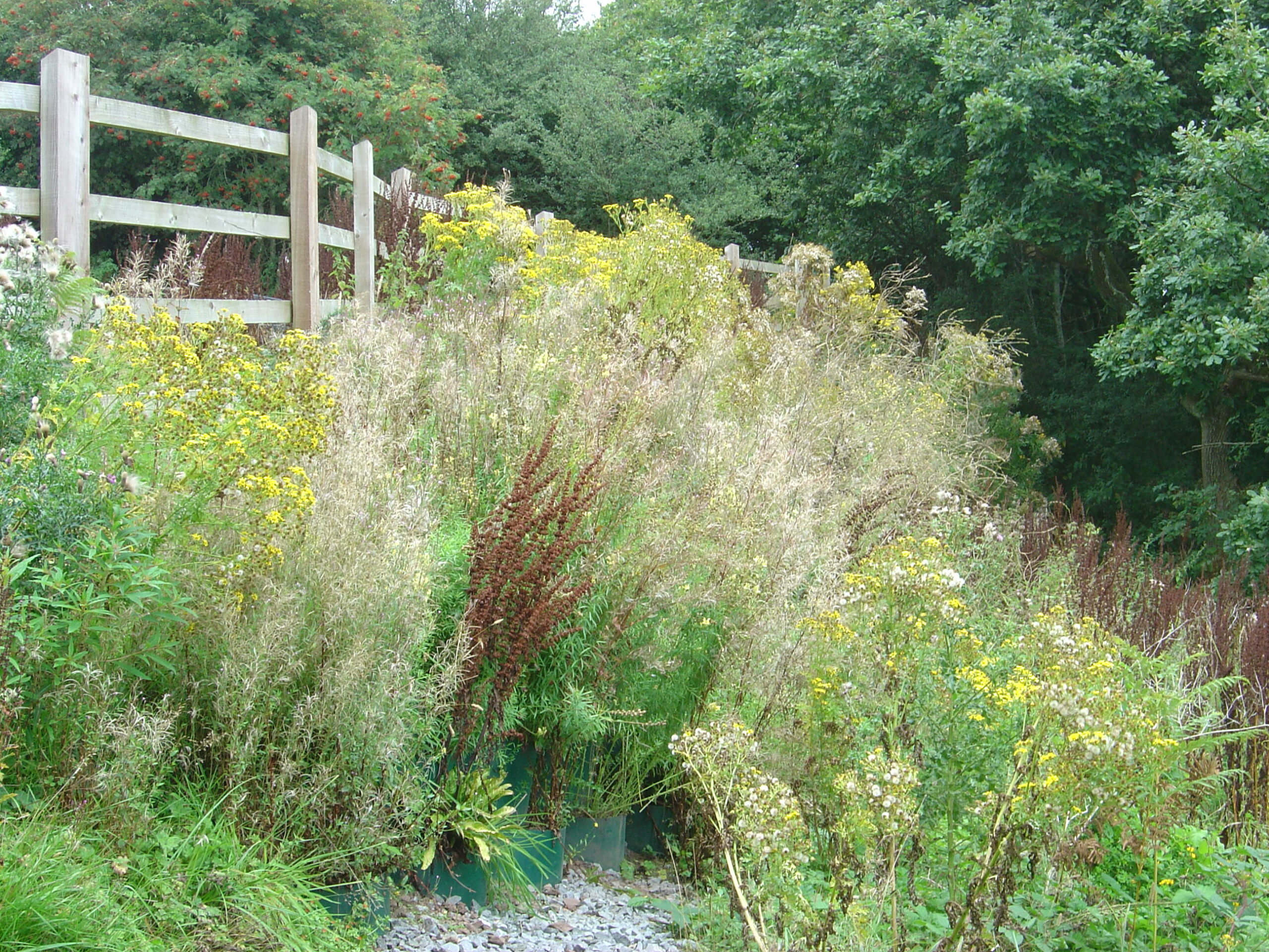Vegetated Retaining Wall Slopes for a Cycle Path | Pembrokeshire