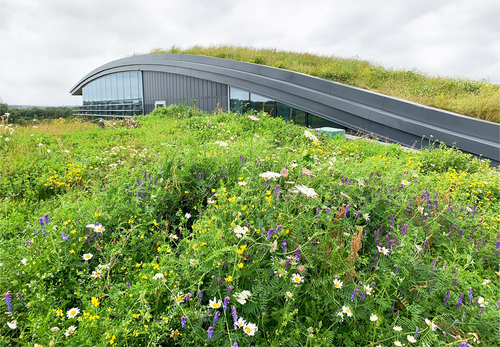 Biodiversity net gain, and how geosynthetics products can help make it ...