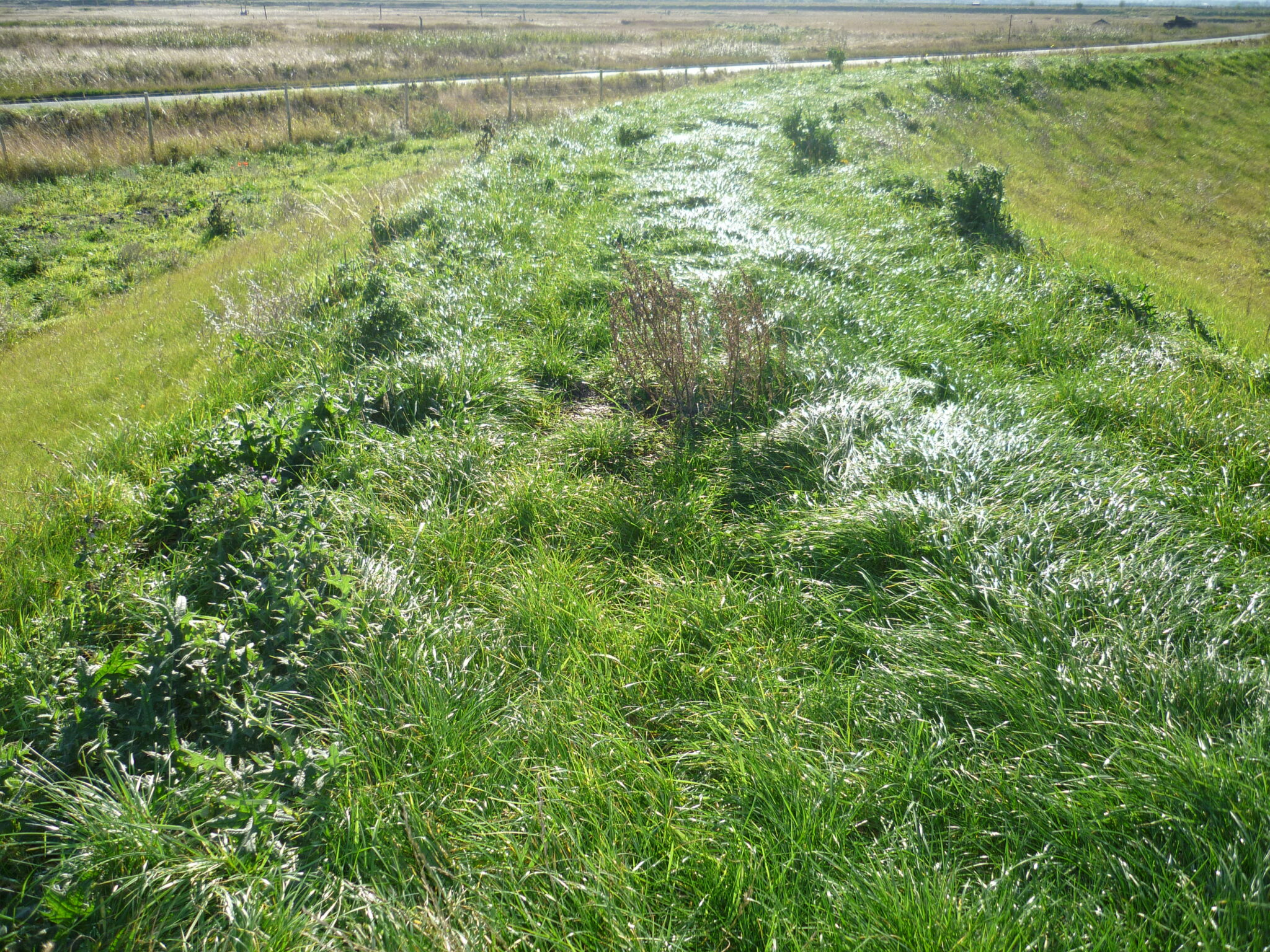 Greatham Flood Control Embankment | Erosamat Erosion Control