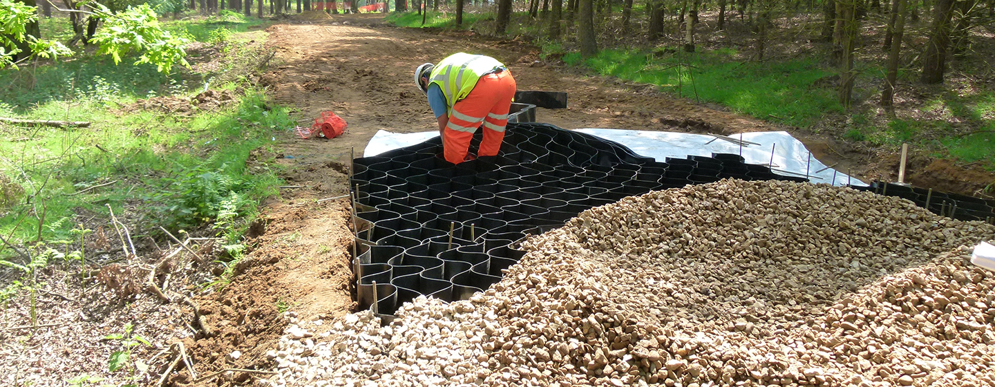 Woodland Vehicle Access | Abweb TRP Tree Root Protection Geocells