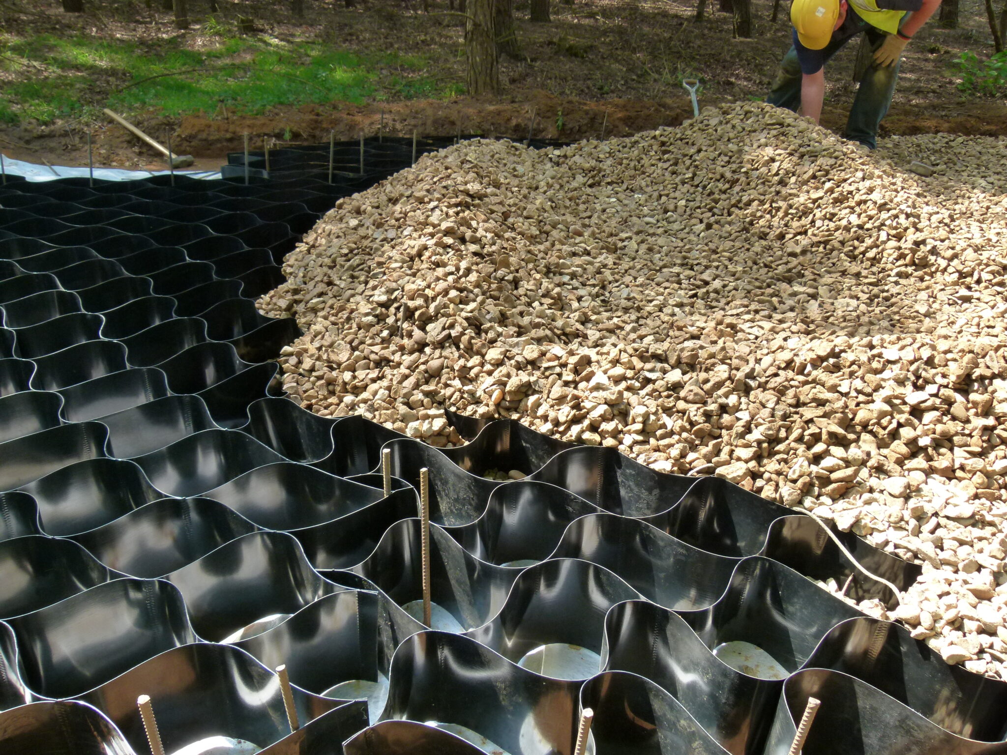 Tree Root Protection Geocell | Vehicular Traffic | Paths | Parking